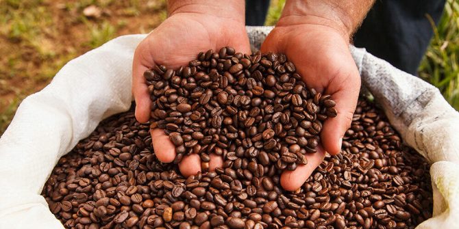Café en grano tostado en saco de 46 kg | Mundo Set Matero